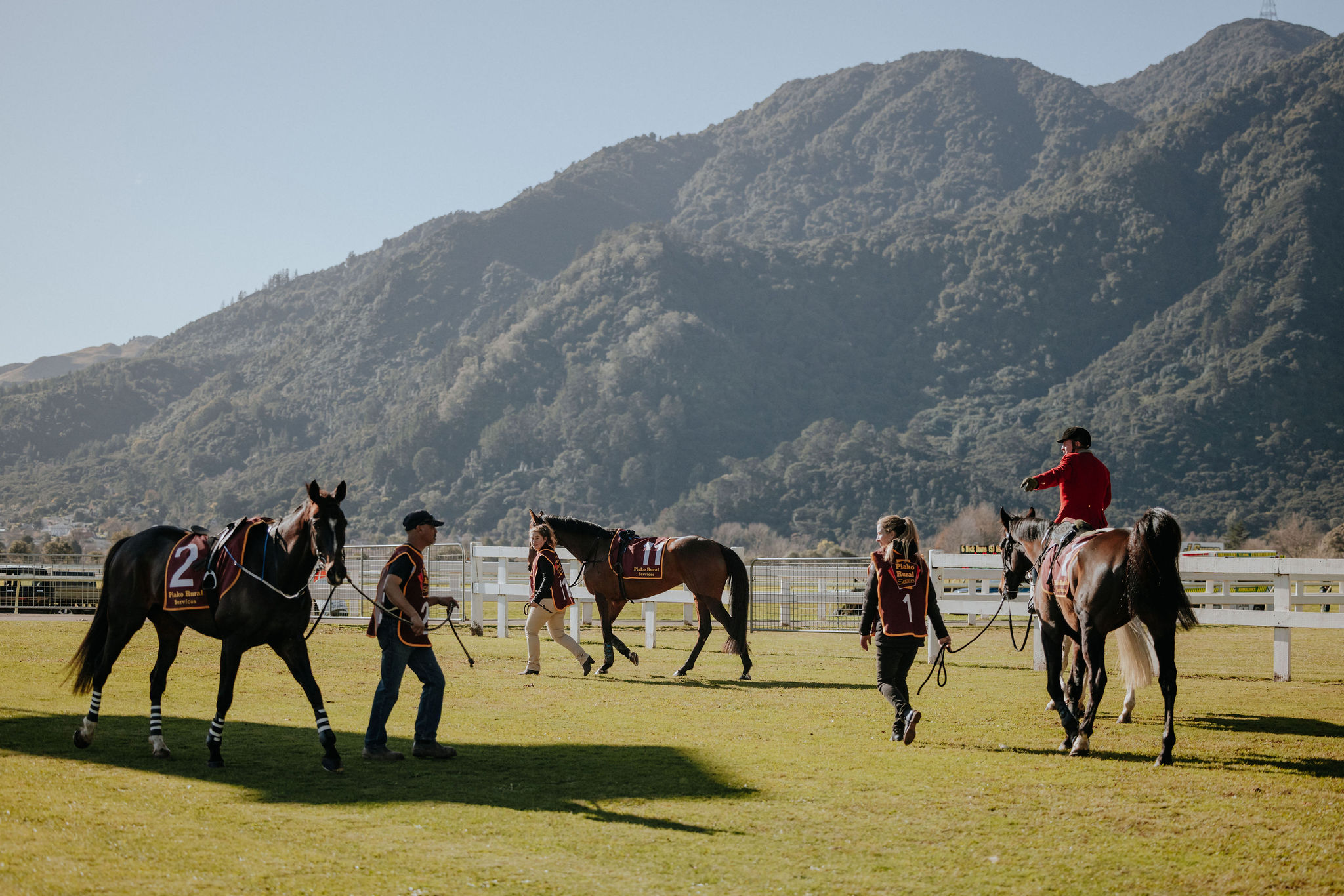 NEWS | Iconic Jumps Races Renamed to Reflect New Era at Te Aroha ...